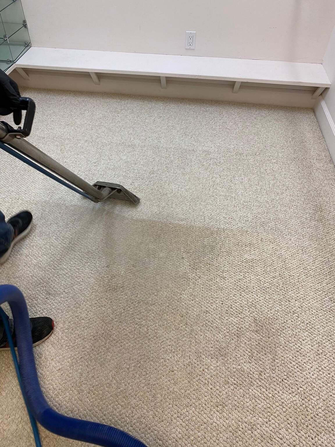 Shampooing of Carpet What is It?